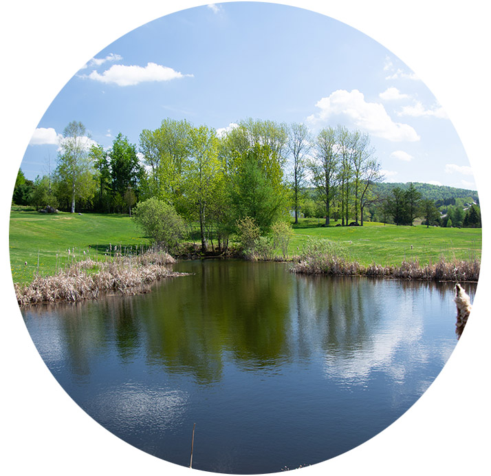 Lake Cleaning Services | Lake Management Services | Aquatic Plant ...