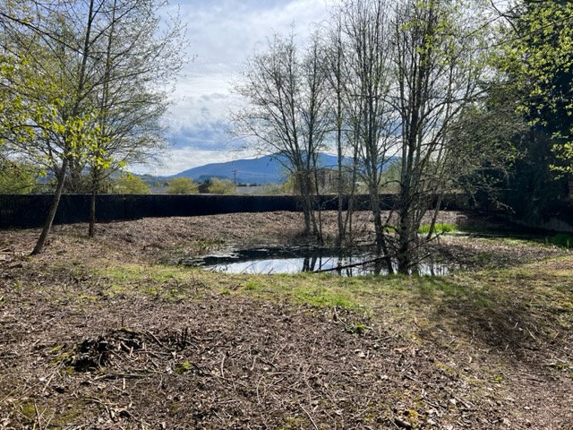 Lake Cleaning Services | Lake Management Services | Aquatic Plant ...